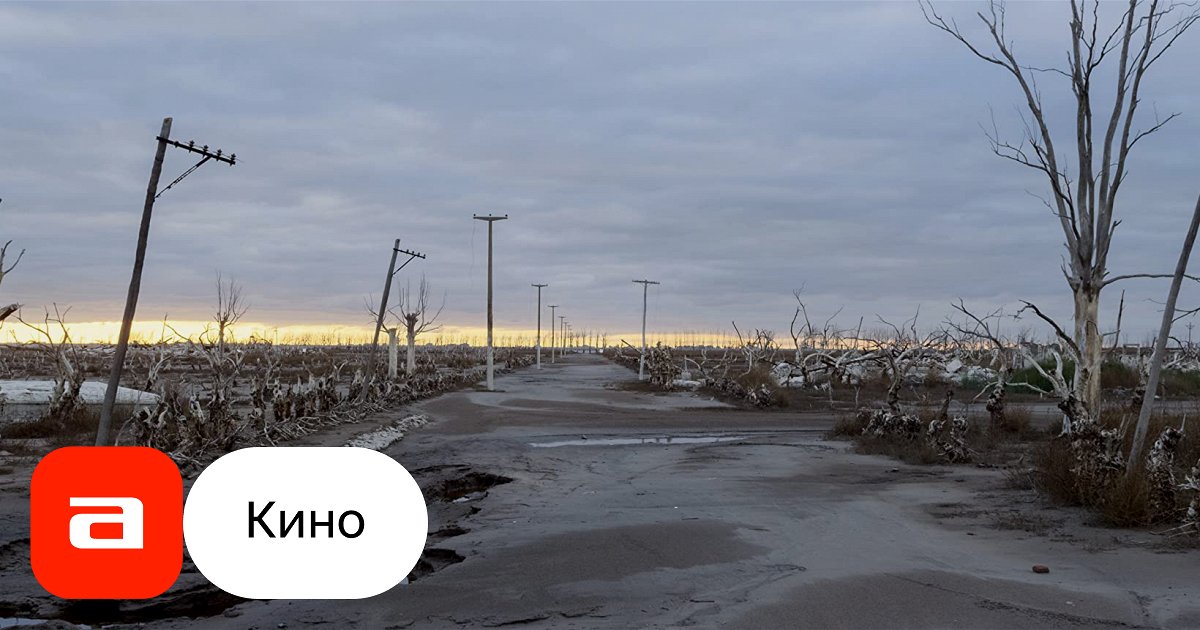 Фильм Homo sapiens (Швейцария, Германия, Австрия, 2016) – Афиша-Кино